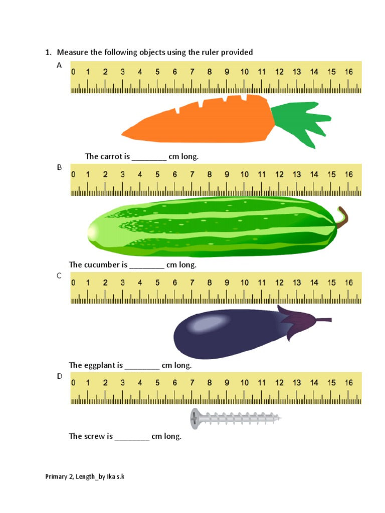 Measure The Following Objects Using The Ruler Provided A | PDF