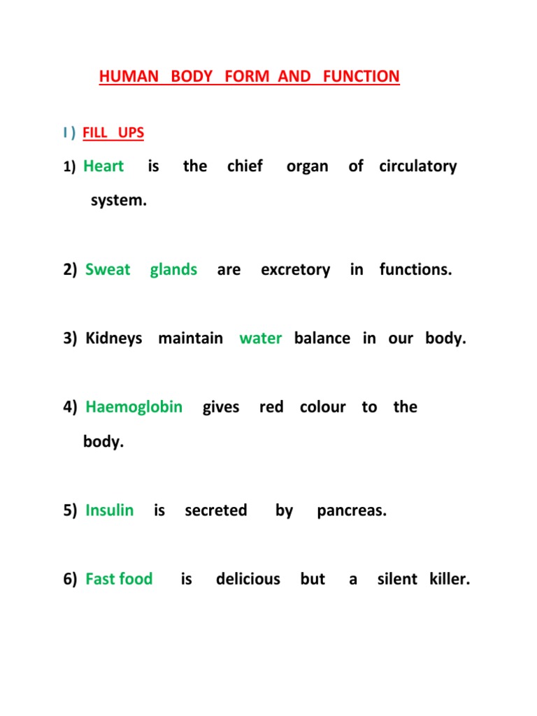 Notes - Human Body Form and Function | PDF | Food Energy | Human Body