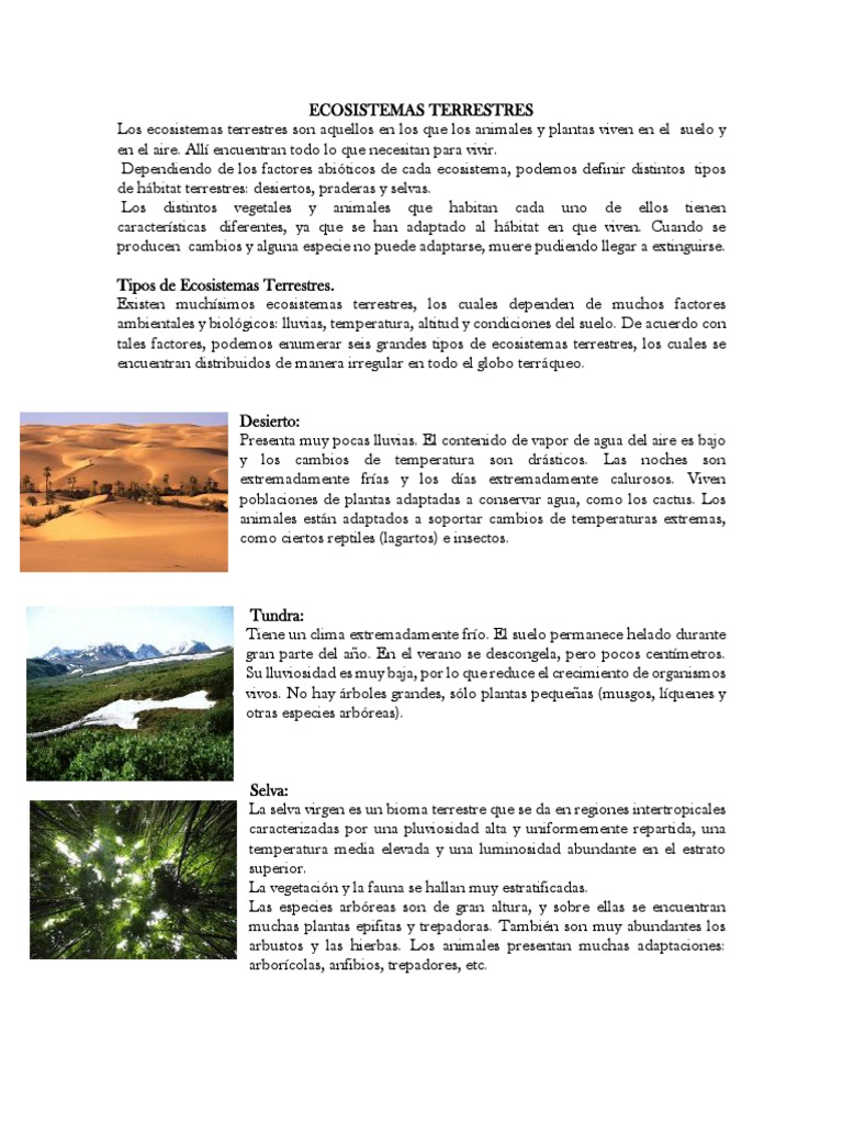 Ecosistemas Terrestres | PDF | Ecosistema | Suelo