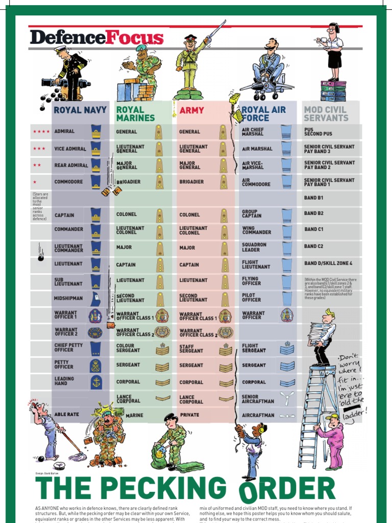 The Pecking Order Poster As A High Resolution | PDF | Military Rank ...