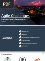 Agile Organization: Squads, Tribes, Guilds | PDF | Agile Software ...