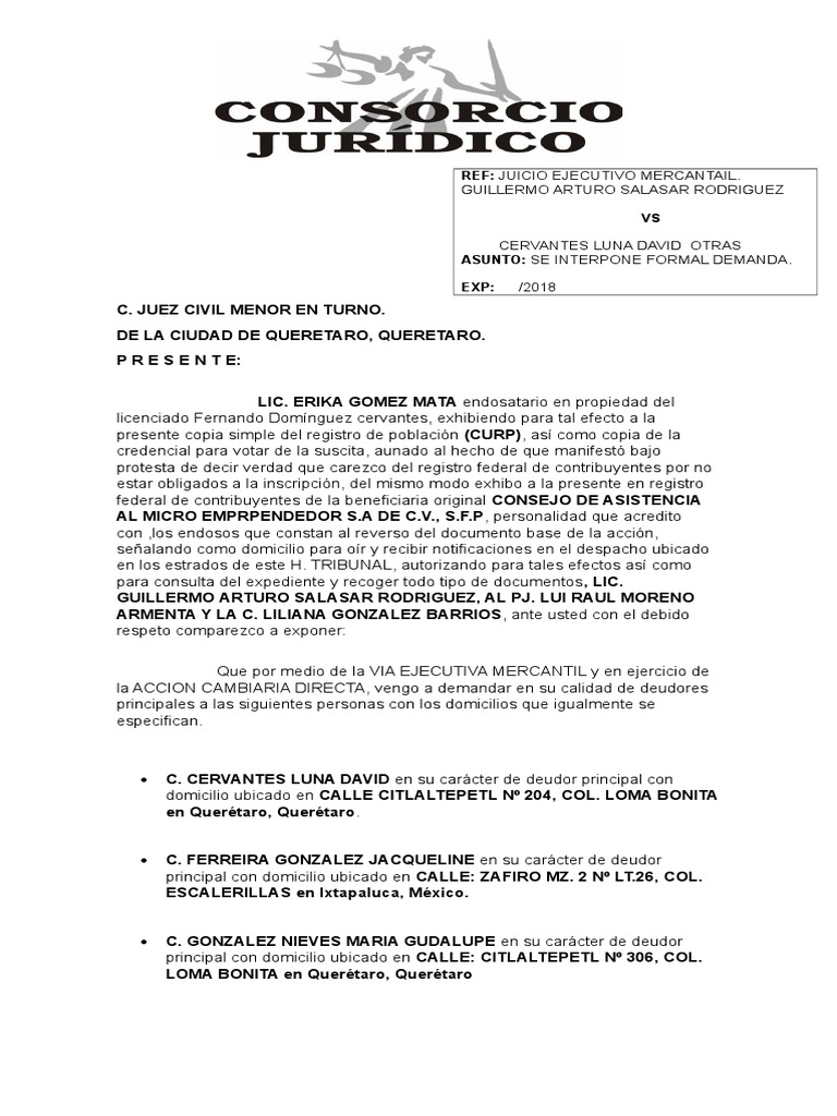 Machote Demanda | PDF | Instrumento negociable | Demanda judicial