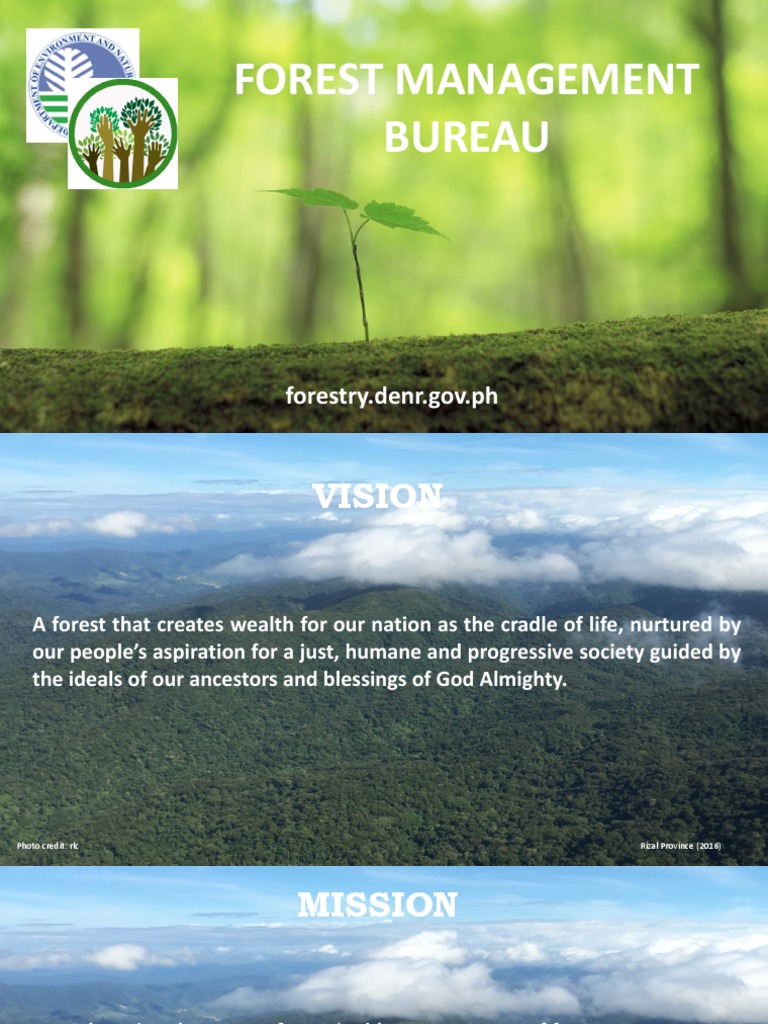 FMB Briefing Material October 25 2016 | PDF | Forestry | Reducing ...