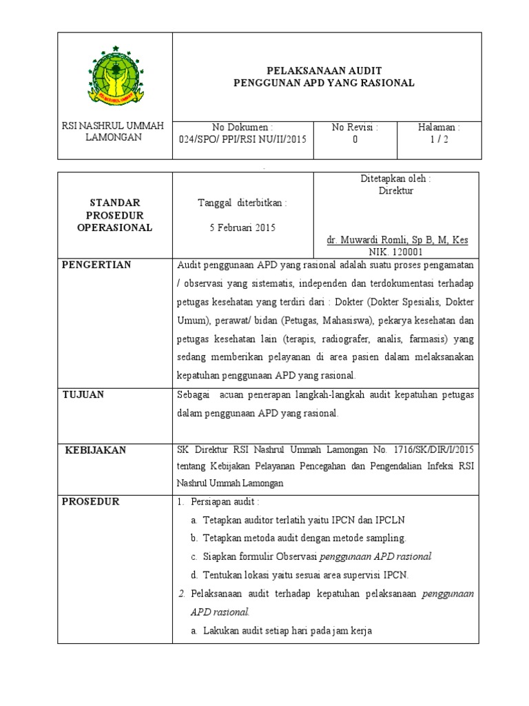 SPO Audit APD Rasional | PDF | Bisnis | Sains & Matematika
