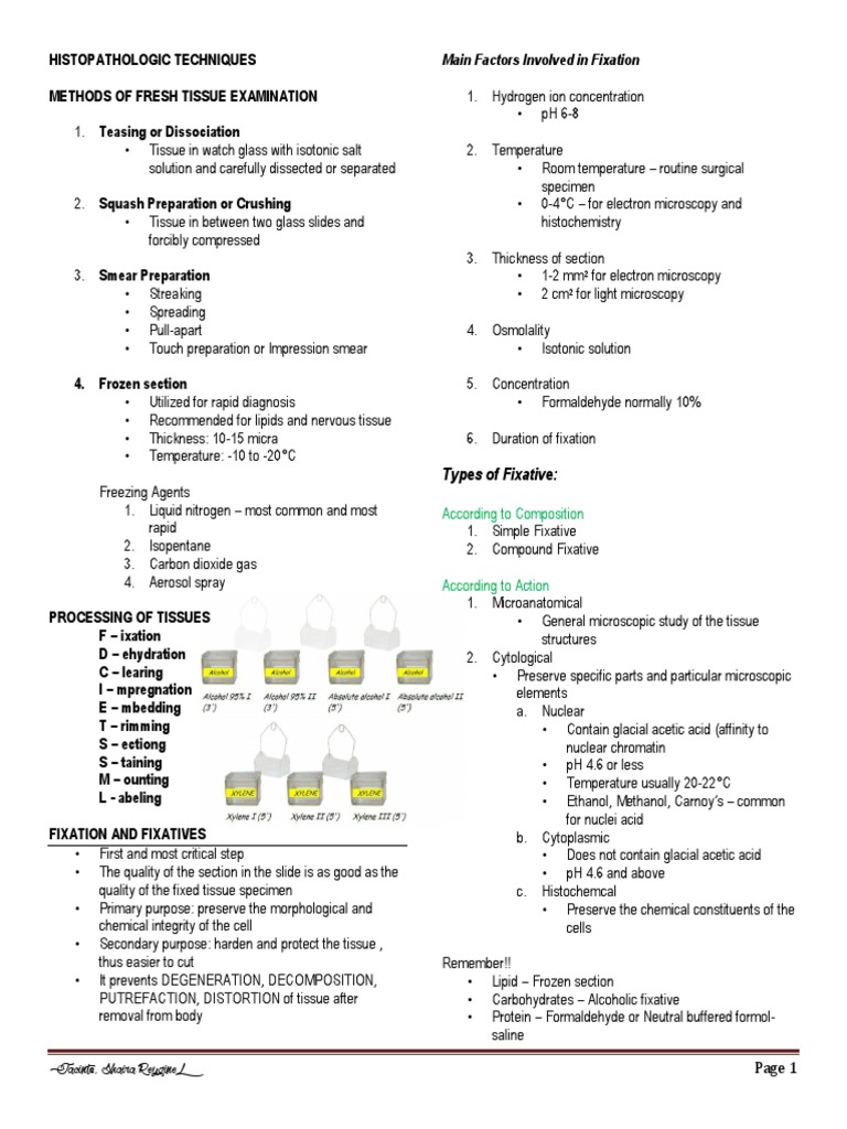 Histopathologic Techniques | PDF | Staining | Fixation (Histology)