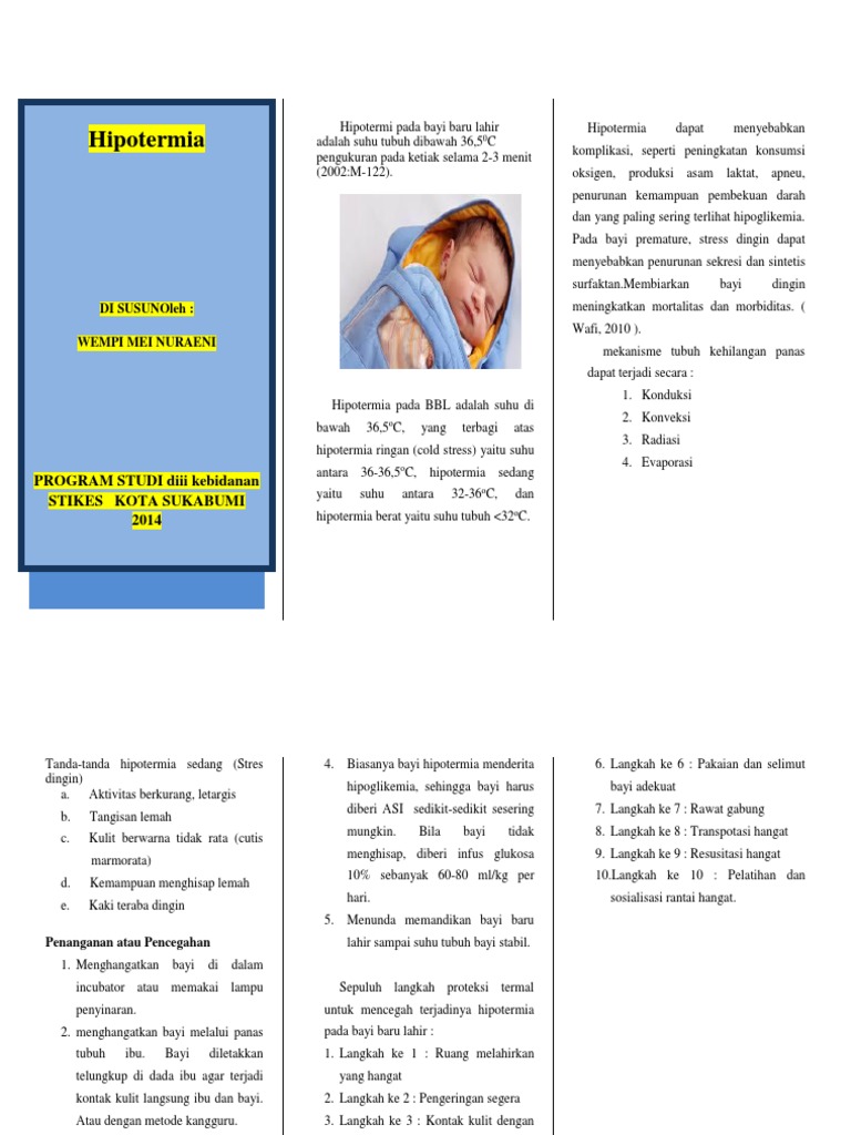 Leaflet Nifas | PDF