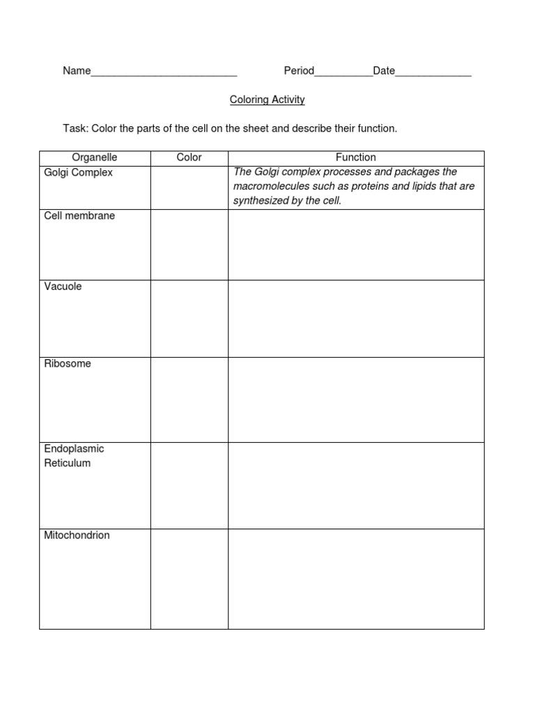 Cell Coloring Worksheet | PDF | Cell Nucleus | Cell (Biology)