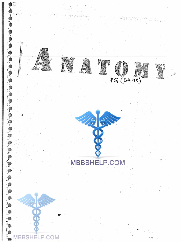 Anatomy - Hand Written Notes Easy PDF | PDF
