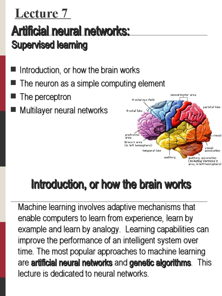 Artificial Neural Networks | PDF | Artificial Neural Network | Brain