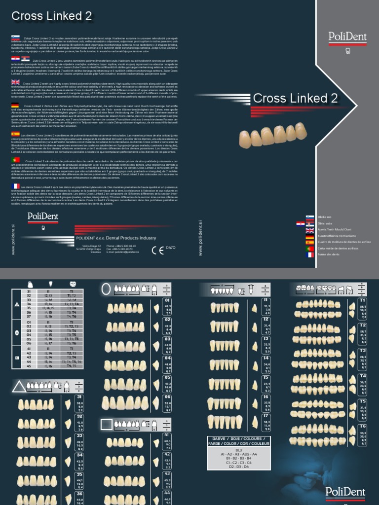 Mould Chart CL2 (1) Polident | PDF | Nature
