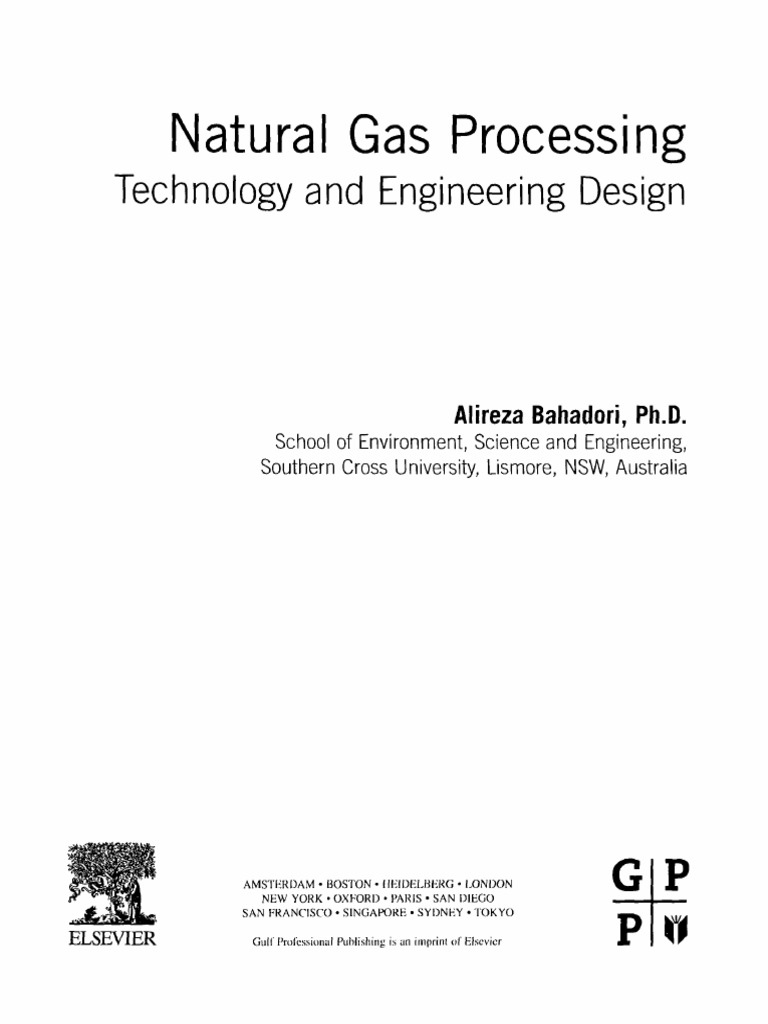 Processing: Natural Gas | PDF | Valve | Natural Gas