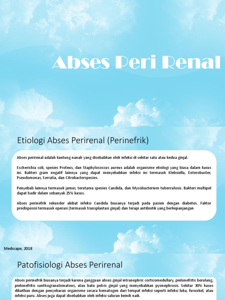Abses Peri Renal | PDF
