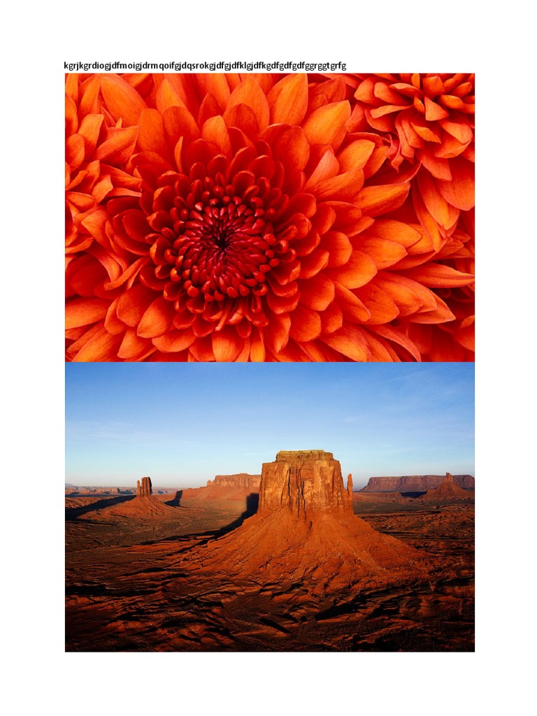 Nature | PDF