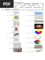 Principles of Design (Grade 8) | PDF | Color | Computer Graphics