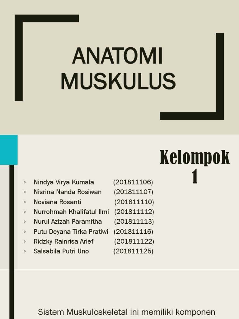 Anatomi Muskuloskeletal | PDF