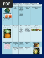 Inspecting Grain For Defects and Impurities Poster | PDF | Mycotoxin | Mold