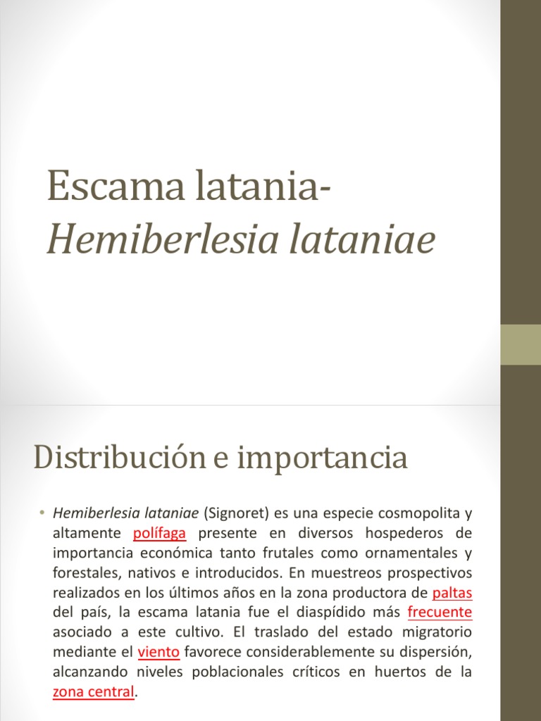 Hemiberlesia Lataniae | PDF | Hoja | Organismos