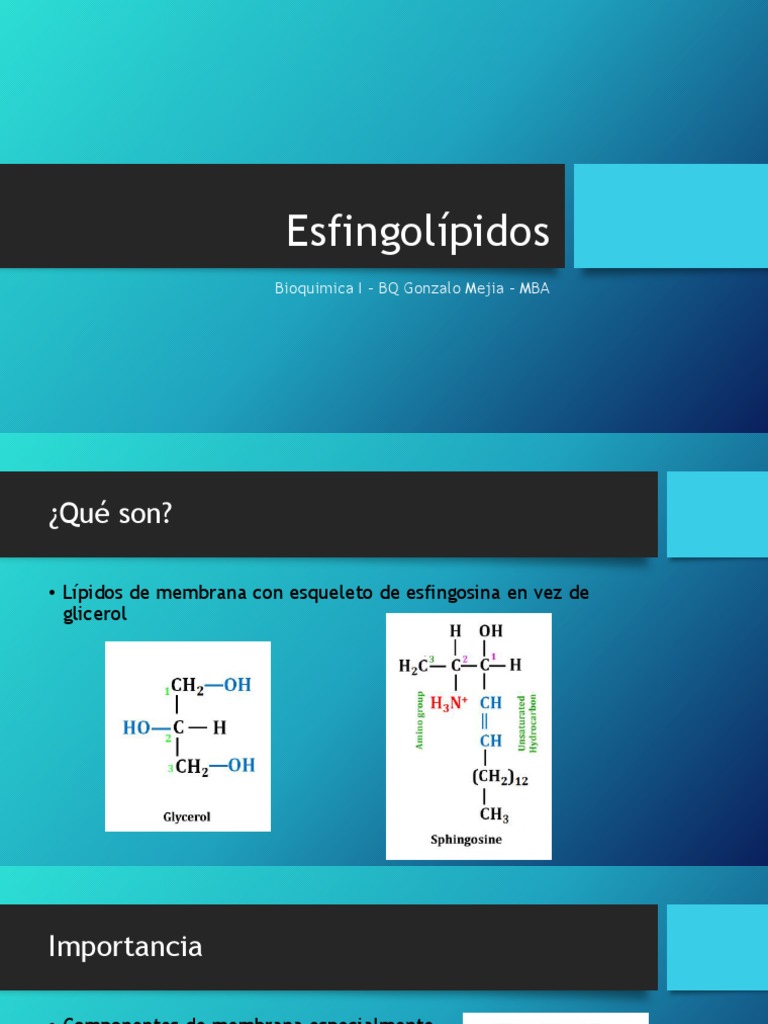 Esfingolipidos | PDF | Ciencia y matemáticas | Salud y bienestar