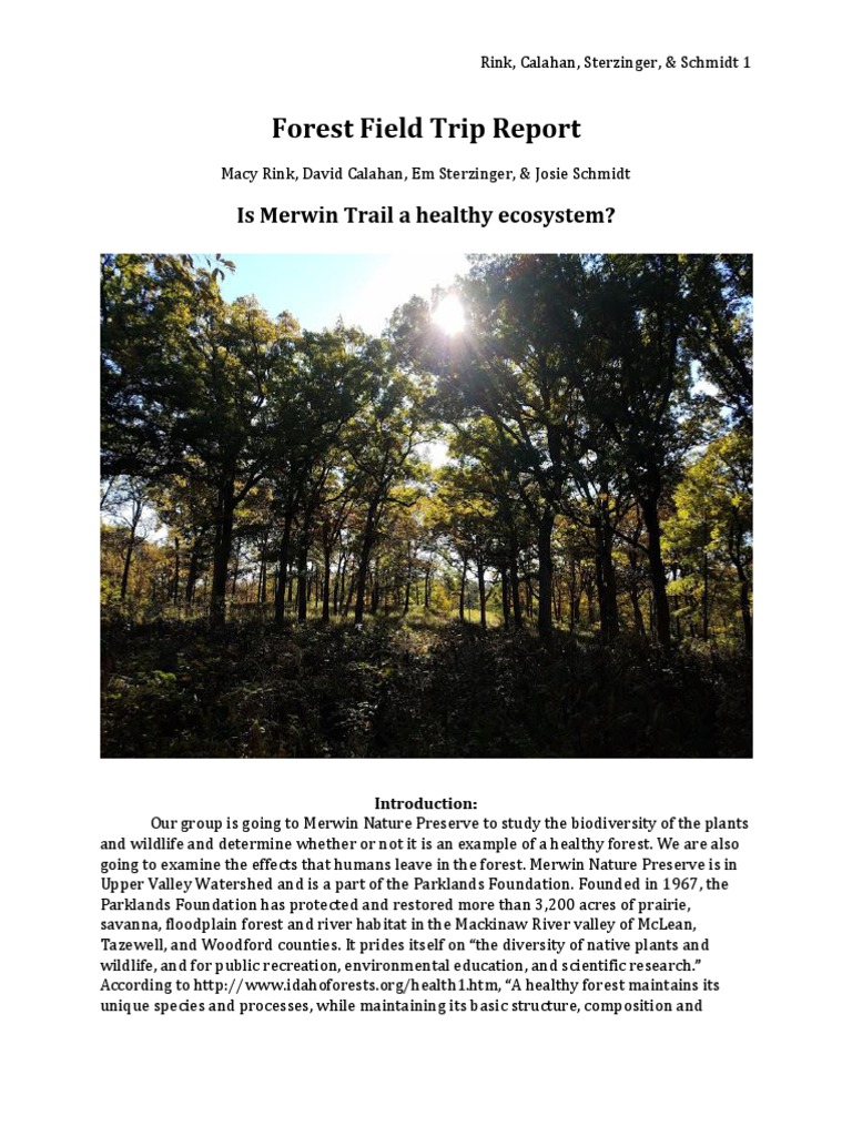 Forest Field Trip Report | PDF | Trees | Soil