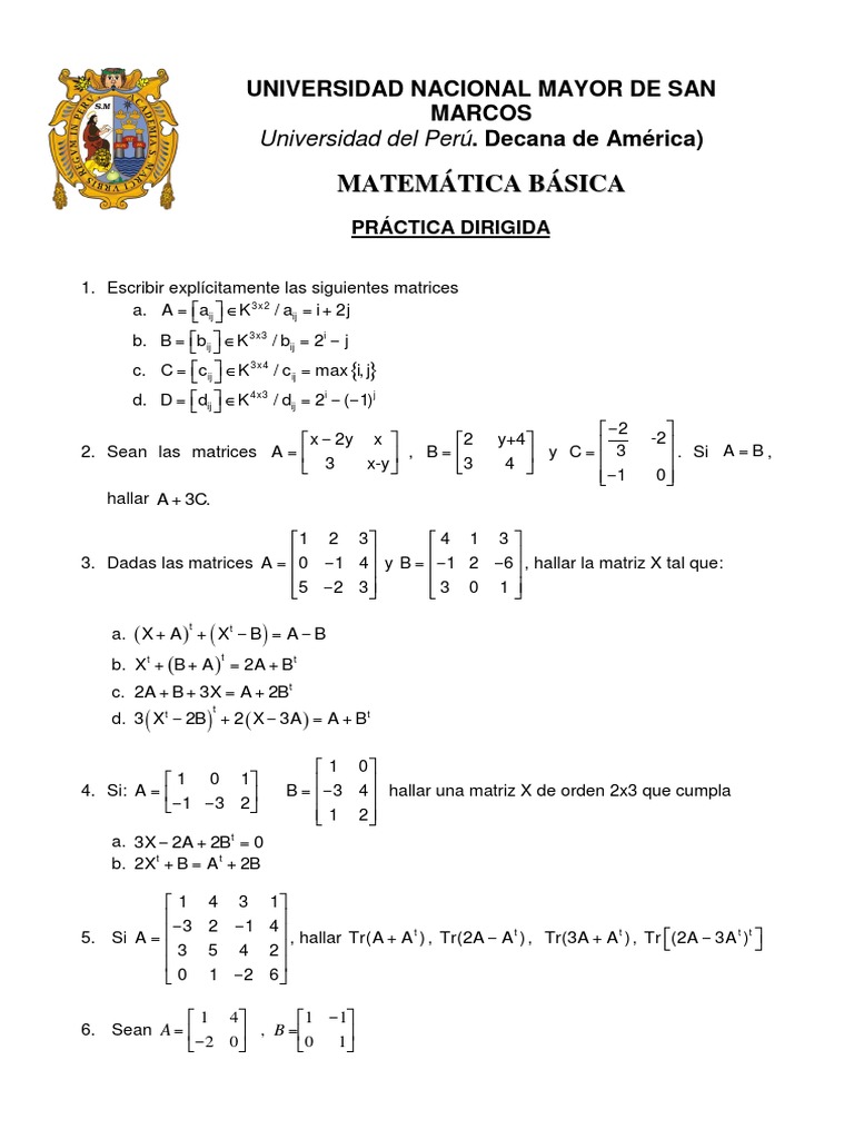 Práctica de Matrices | PDF | Matriz (Matemáticas) | Funciones y mapeos