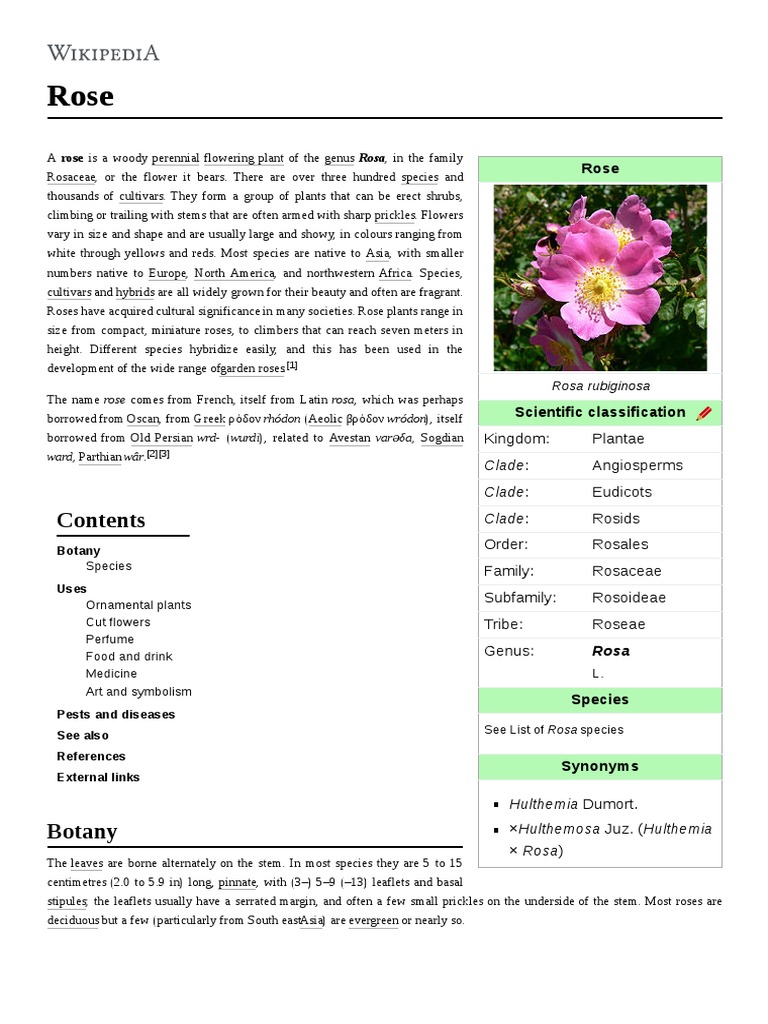 Rose | PDF | Rose | Botany