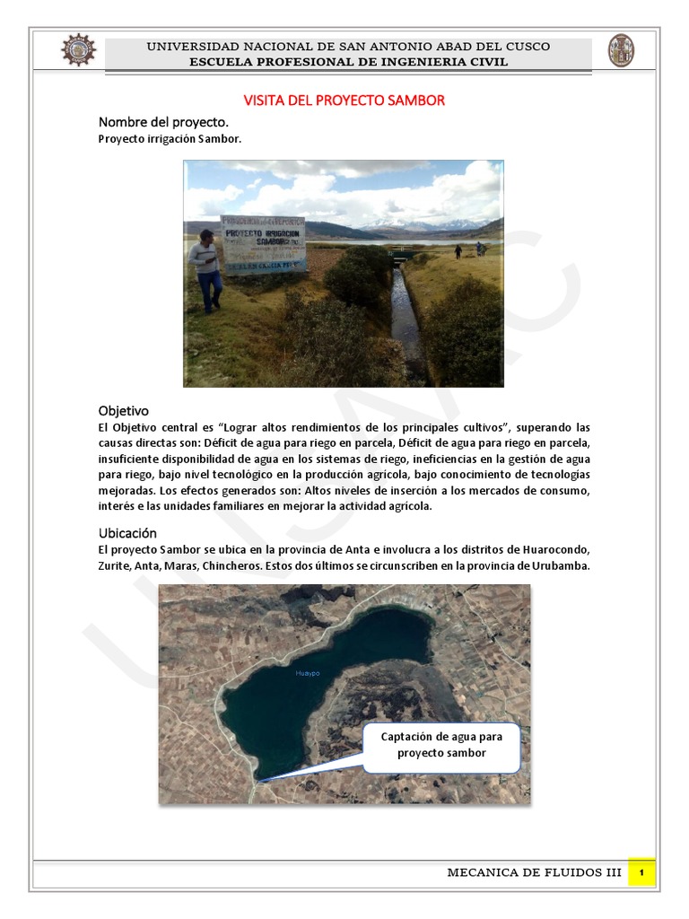 Proyecto Sambor | Descargar gratis PDF | Represa | Canal