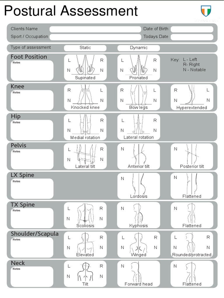 Postural Assessment | PDF | Anatomical Terms Of Motion | Anatomical ...