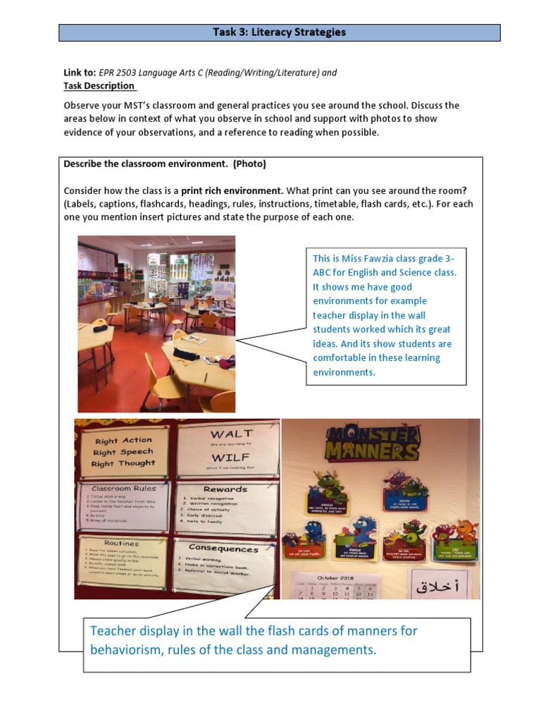 Classroom Literacy Strategies Overview | PDF | Reading (Process) | Teachers