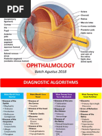 ICD-10 Codes and Descriptions | PDF | Cornea | Visual Impairment