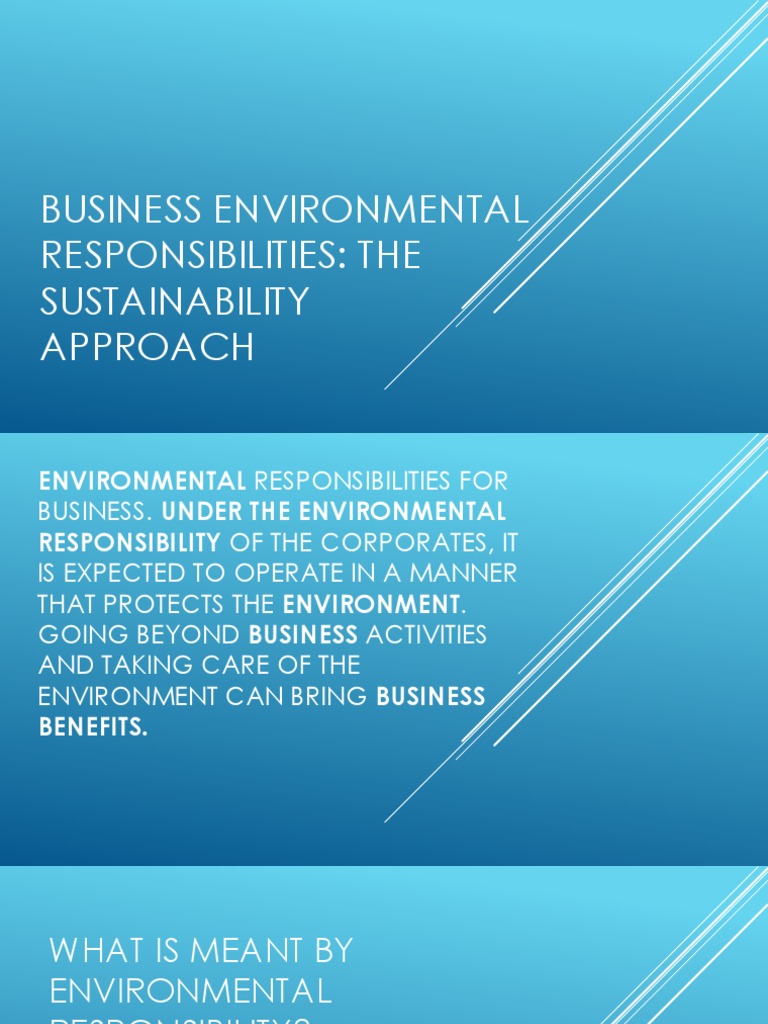 Business Environmental Responsibilities | PDF | Sustainable Business ...