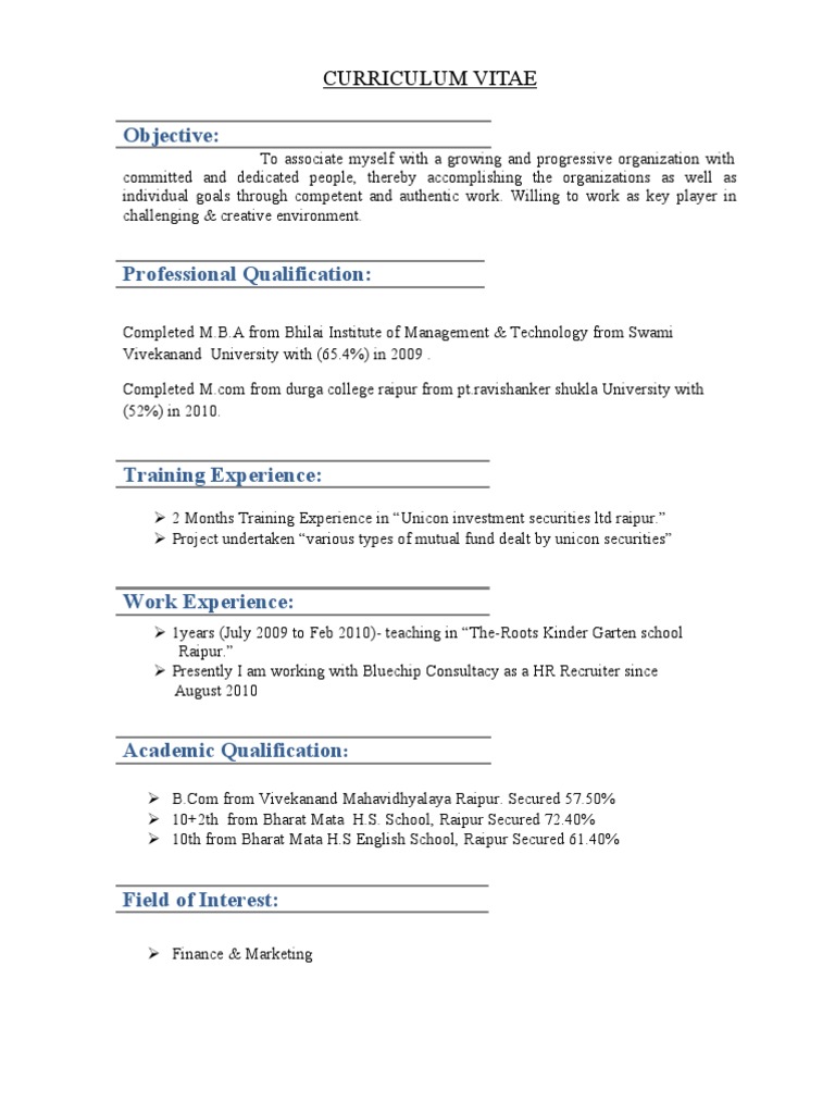 Tanu Choudhary's Professional CV | PDF | Business | Finance & Money ...