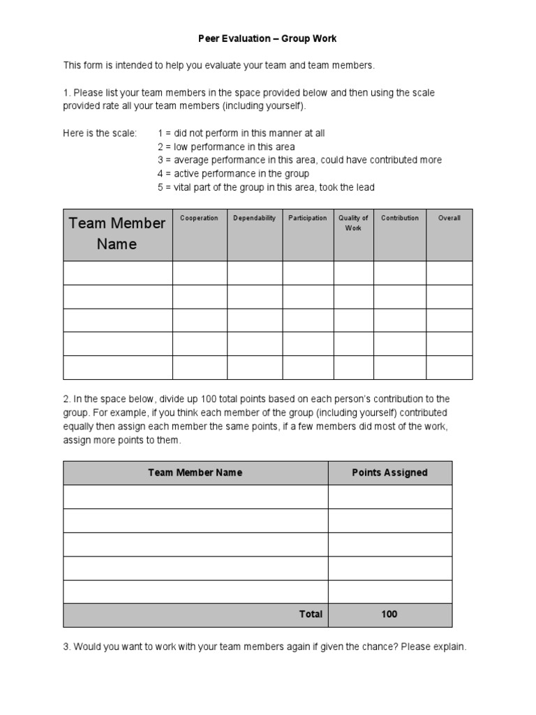 Peer Evaluation - Group Work | PDF