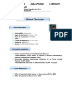 Resumen Curricular | PDF