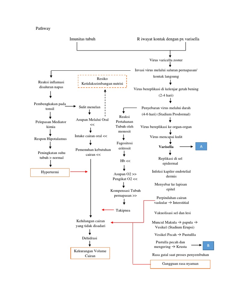 Pathway Varisela | PDF