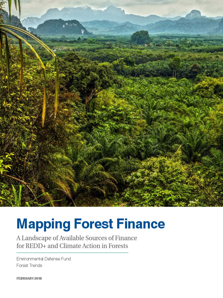 Mapping Forest Finance | PDF | Reducing Emissions From Deforestation ...