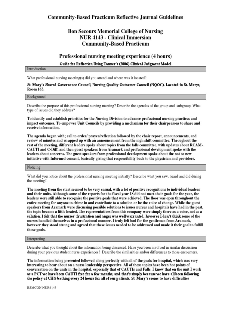 Professional Meeting Reflective Journal | PDF | Informed Consent | Nursing