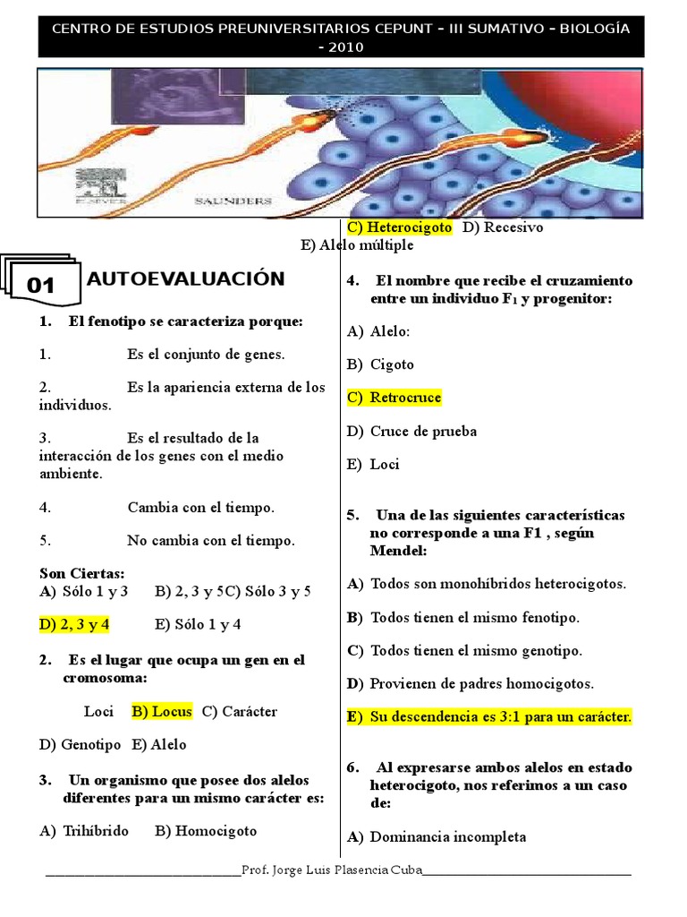 Proporciones Genotípicas en Cruces Genéticos | PDF | Dominancia ...