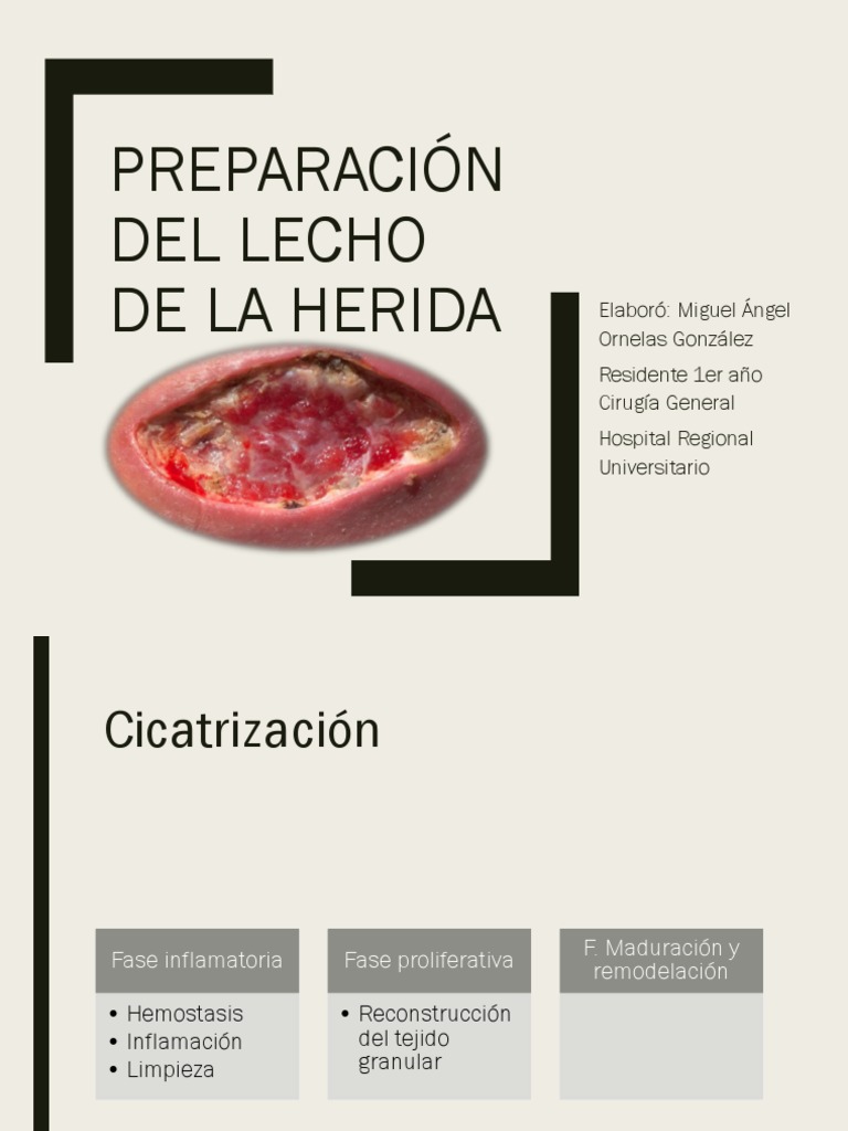 Preparación Del Lecho de La Herida | Herida | Cicatrización de la herida