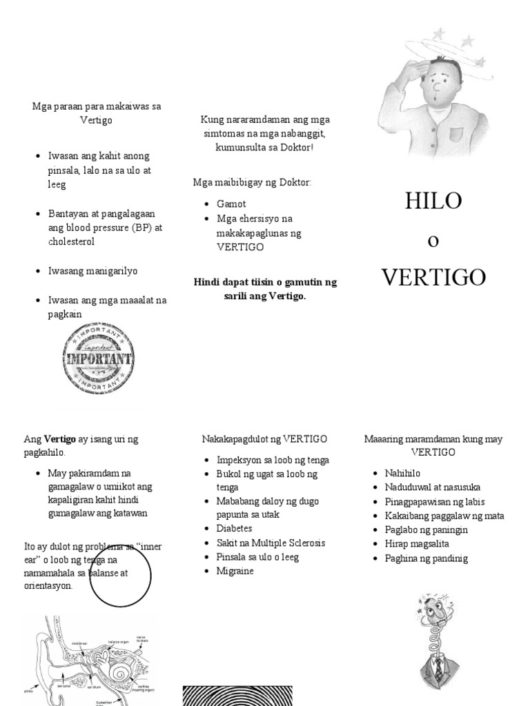 VERTIGO Pamphlet | PDF