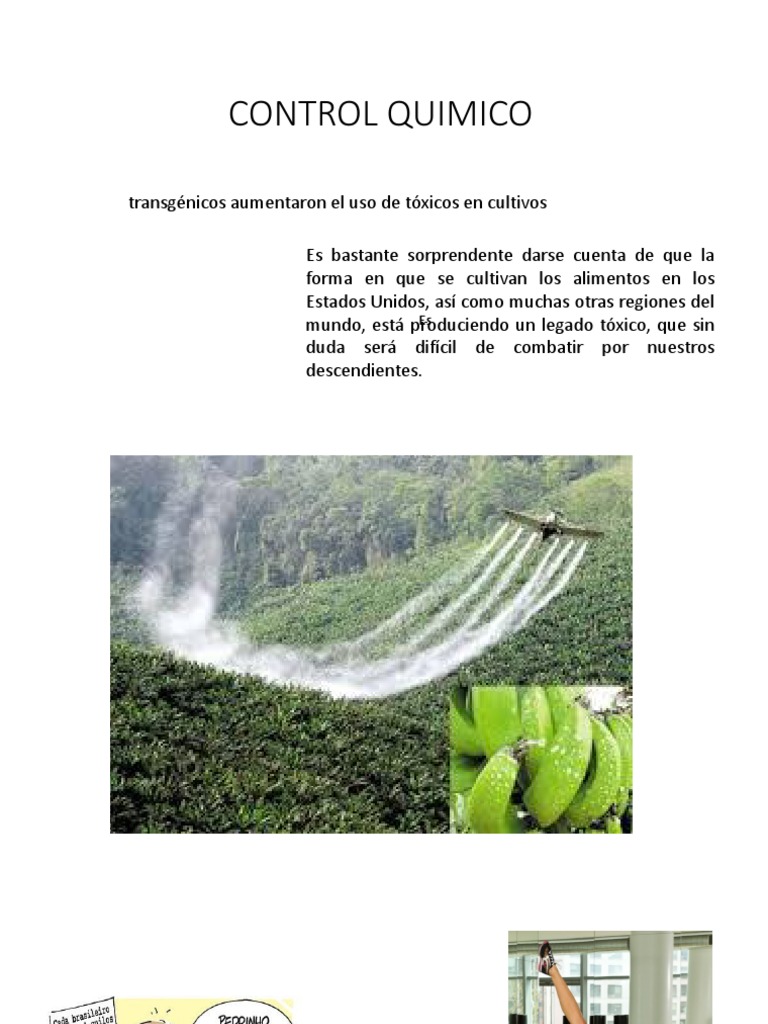 Control Quimico | PDF | Inhibidor de la enzima | Metabolismo