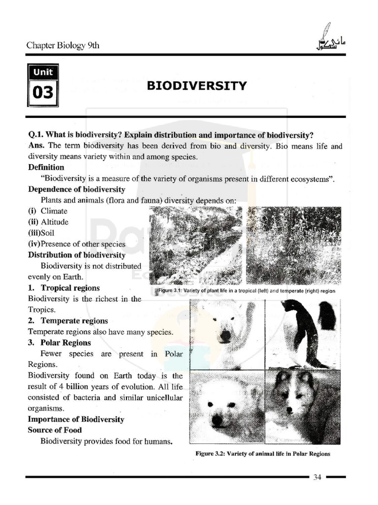 Important Notes of 9th Class Biology Chapter 3 | PDF