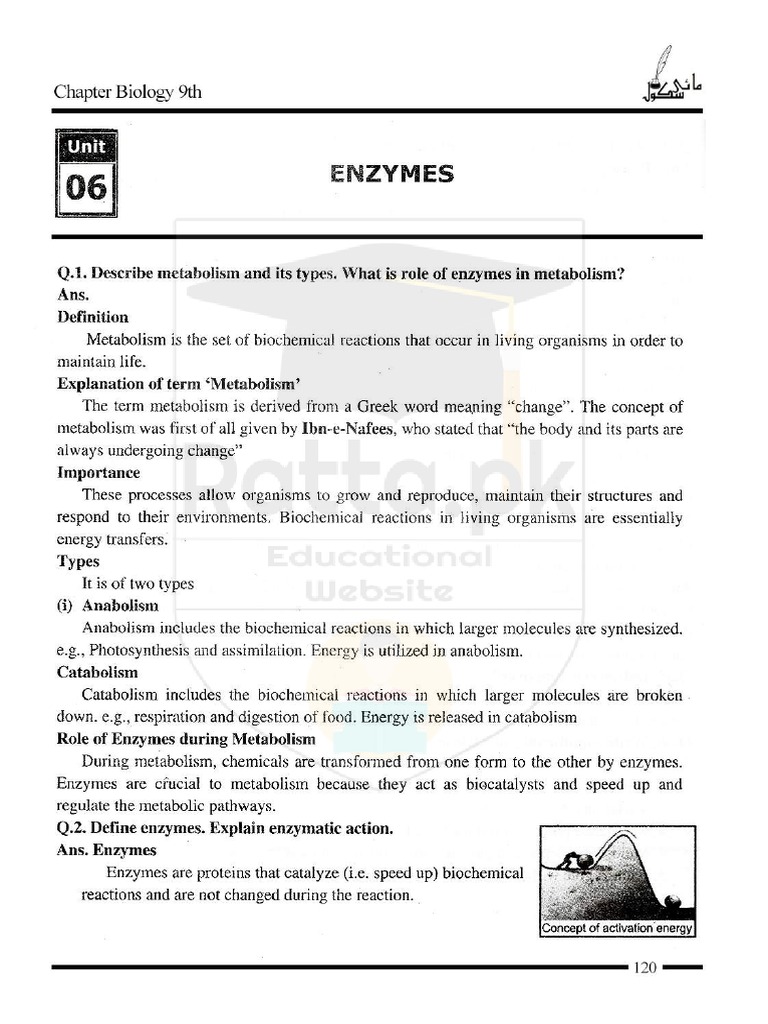 Important Notes of 9th Class Biology Chapter 6 | PDF