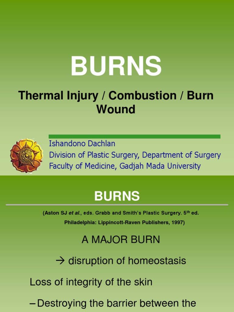 Burns: Thermal Injury / Combustion / Burn Wound | PDF | Burn | Medicine