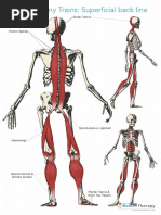 Kinesiology Flashcards, 3E - Lippert, Lynn S., Minor, Mary Alice ...