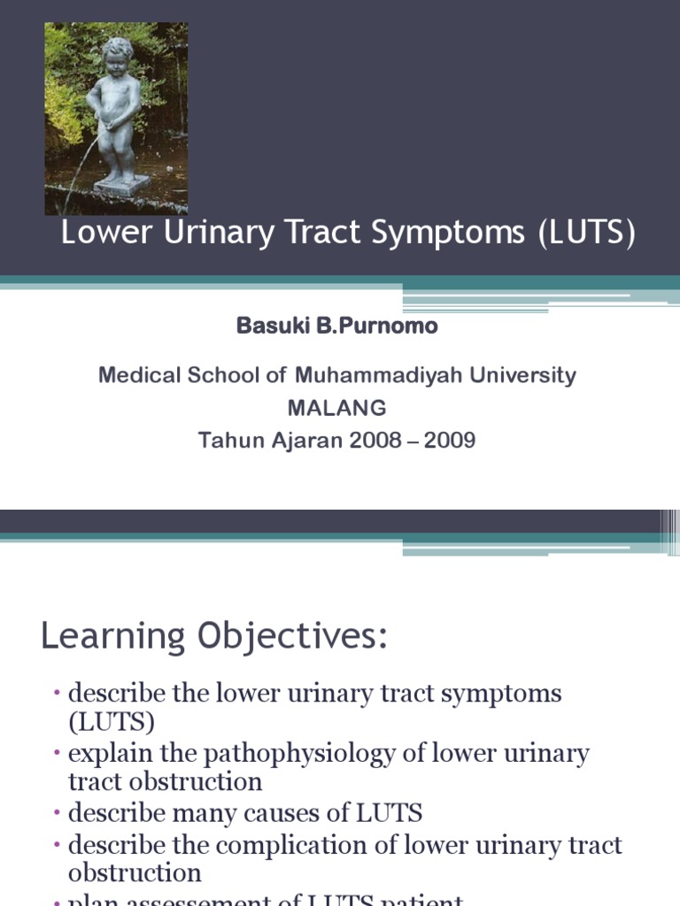 Lower Urinary Tract Symptoms (LUTS) | PDF | Urination | Urinary Bladder