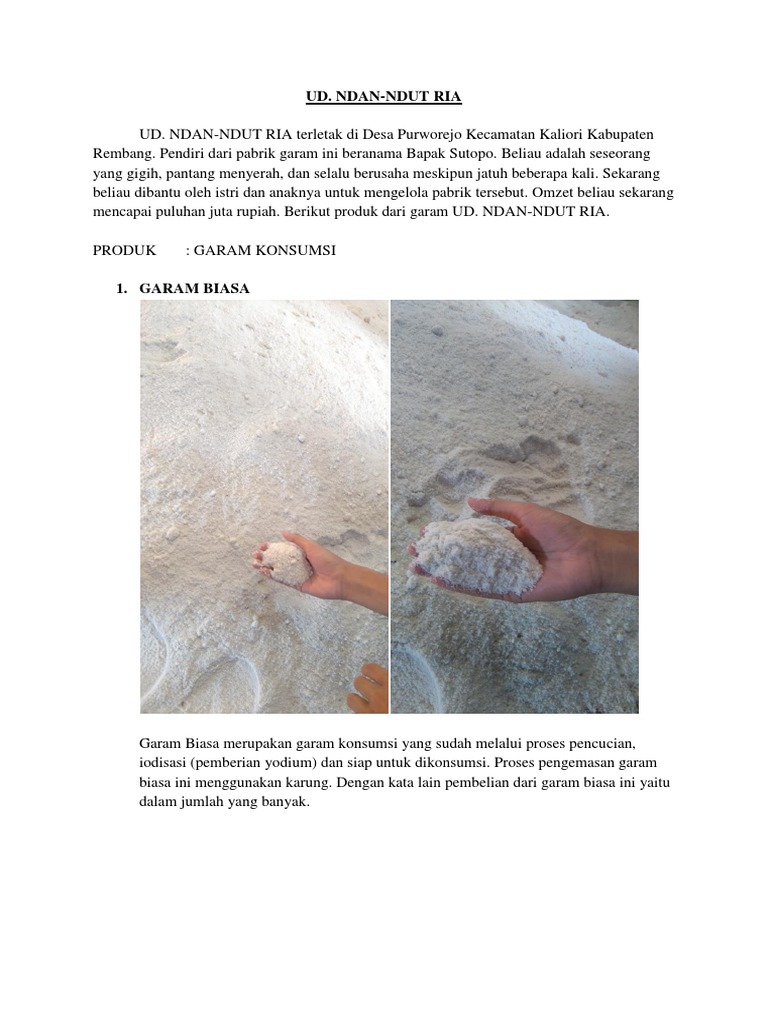 Pabrik Garam UD. Ndan-Ndut Ria | PDF