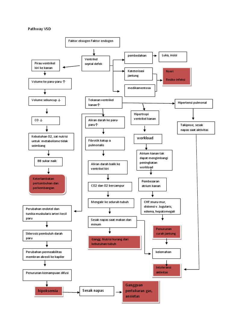 Pathway Patofisiologi VSD pada Anak | PDF