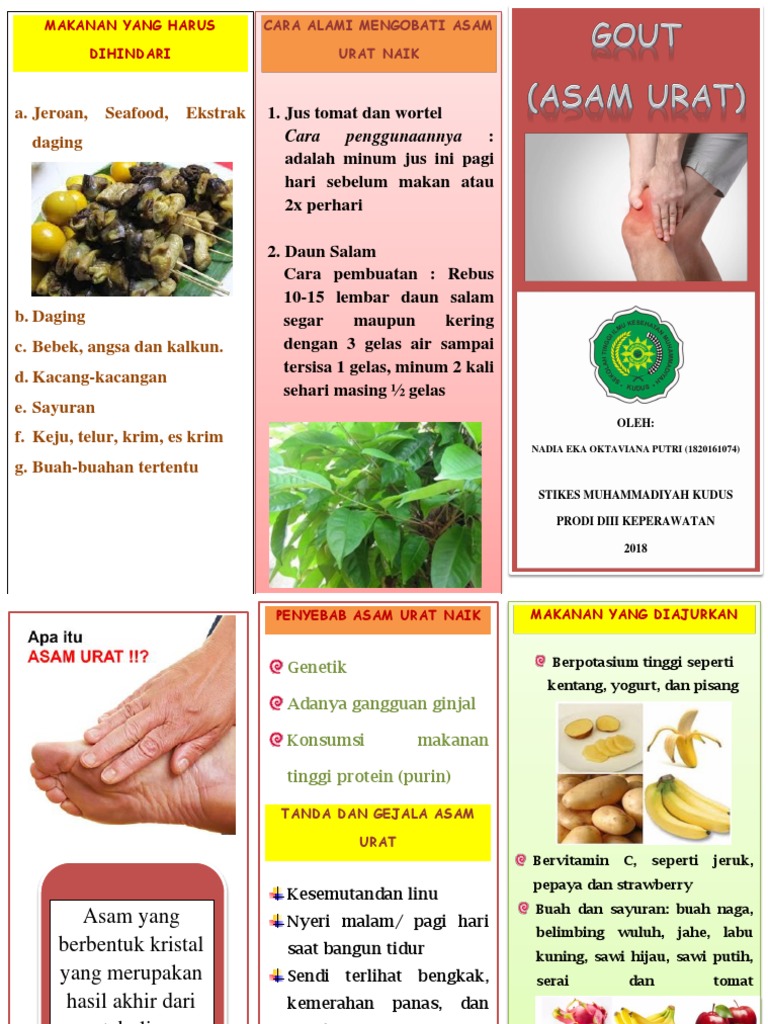 Leaflet Gout | PDF