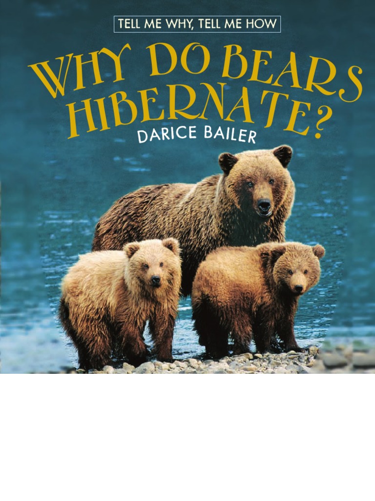 Why Do Bears Hibernate | Bears | Polar Bear