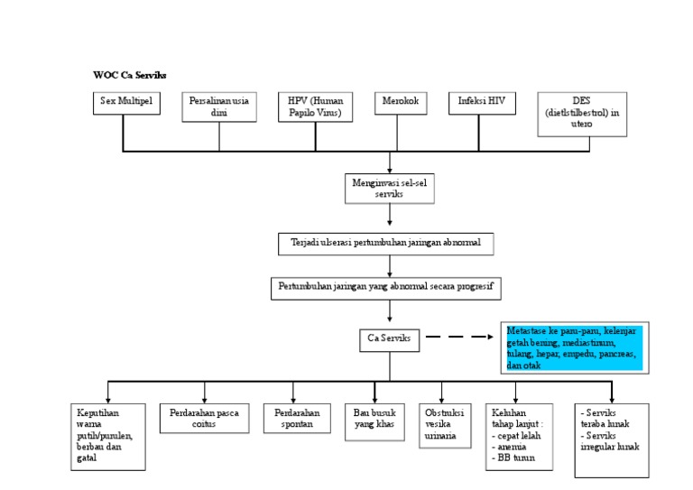 WOC CA Serviks | PDF